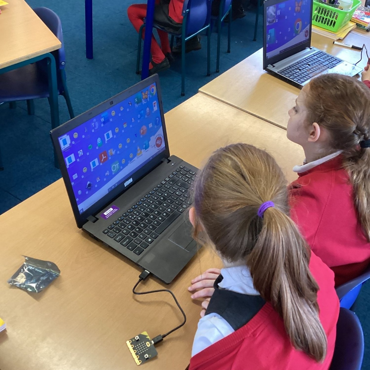 John Wilkinson Primary School and Nursery - Investigating with Micro:bits